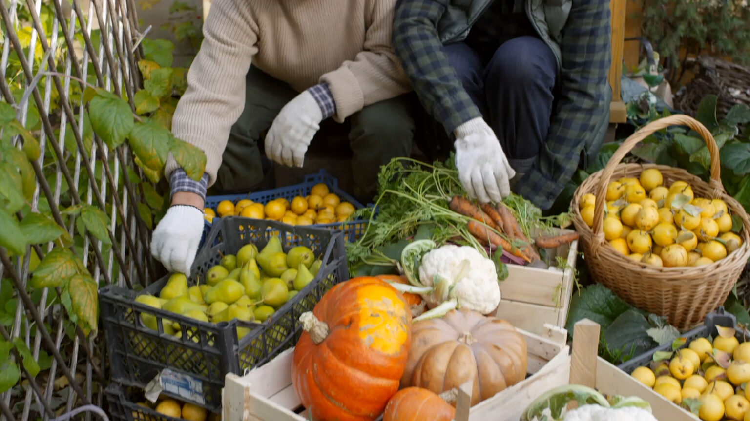 Aged Care Quality – Auditing, Benchmarking, Education, Networking ...